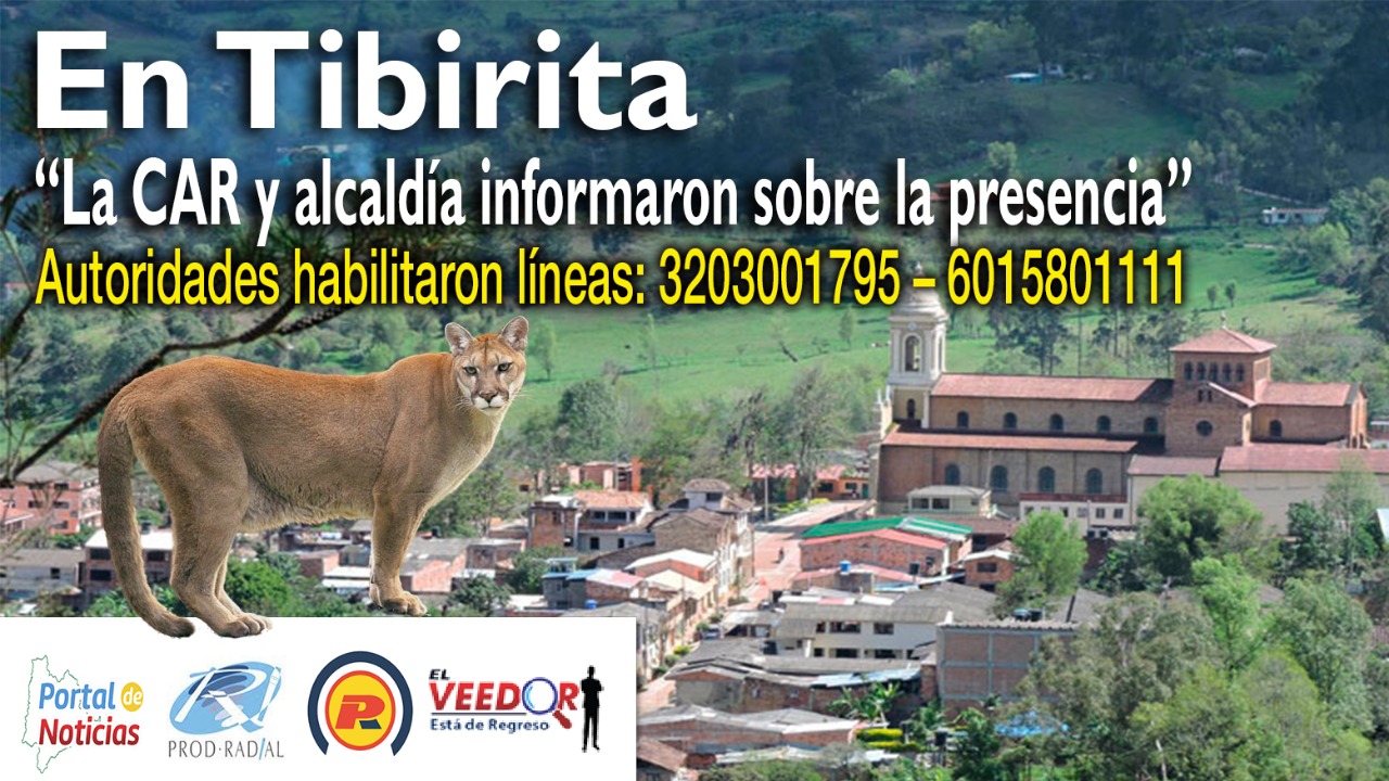 En Tibirita, alerta sobre la aparición de un puma La CAR y alcaldía ...